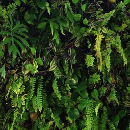 Fern Wall Wallpaper Green Arthouse 907601 World of Wallpaper USA