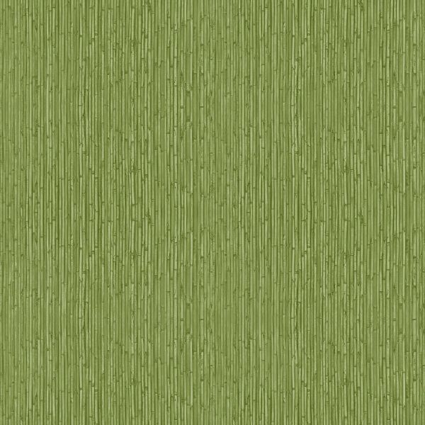 Wallpaper Green Texture Bamboo
