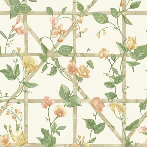 World of Wallpaper Australia Trailing Floral Trellis Wallpaper Orange ...