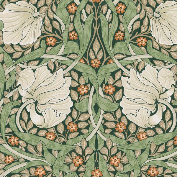 World of Wallpaper Australia William Morris At Home Pimpernel Wallpaper ...