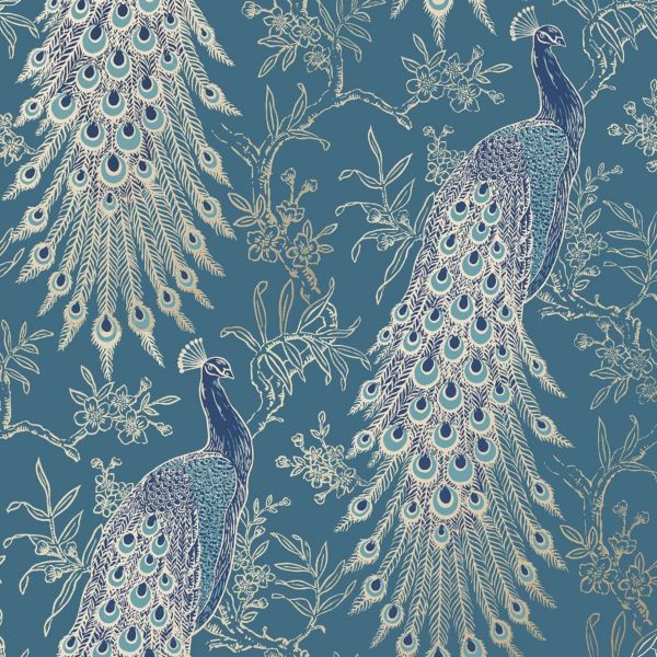 Wallpapers Peacock Peacock Wallpaper Stock Photos, Images And