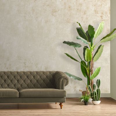 Feature Wall Wallpaper | Bold and Colourful Wallpapers